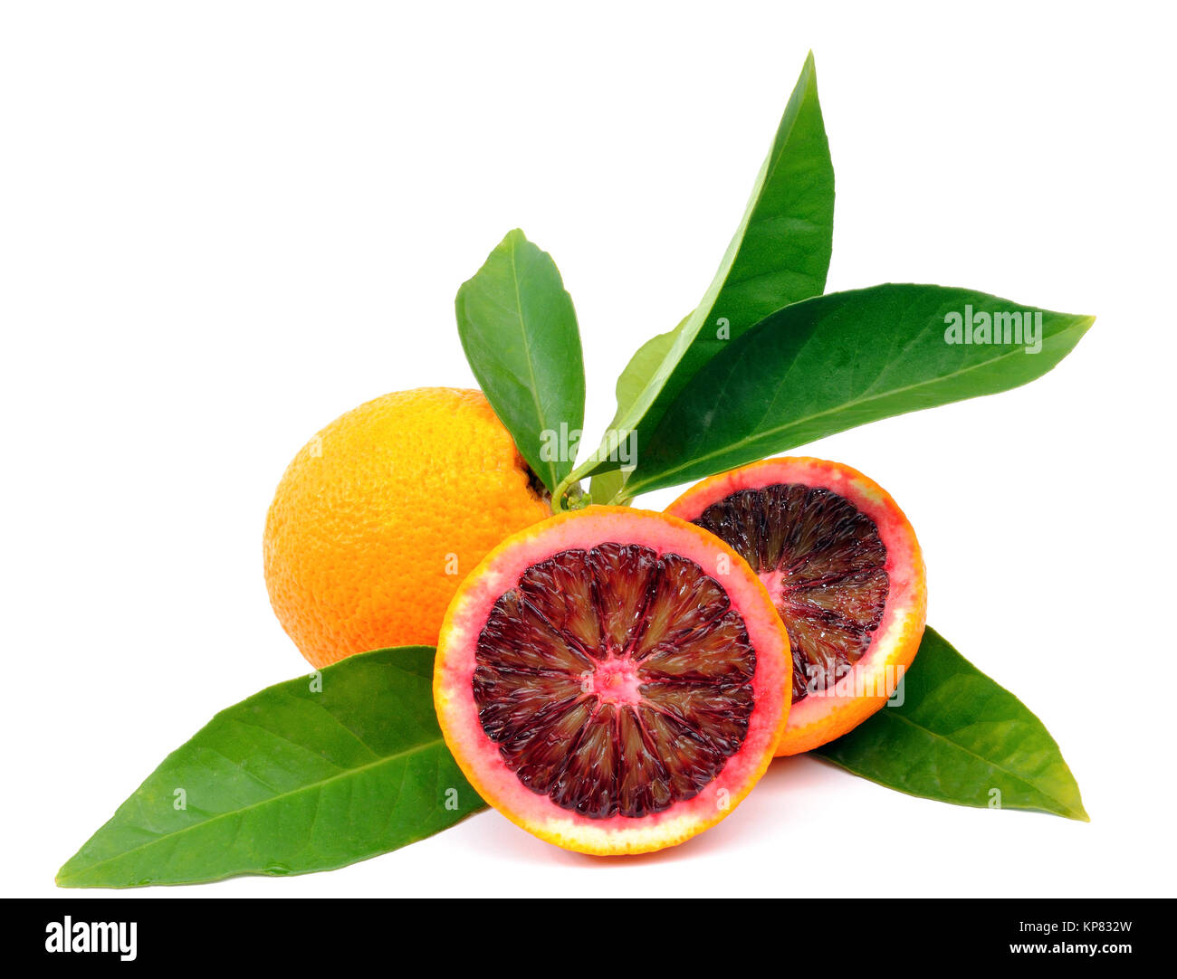 Oranges harvested in an organic cultivation, photographed on white ...