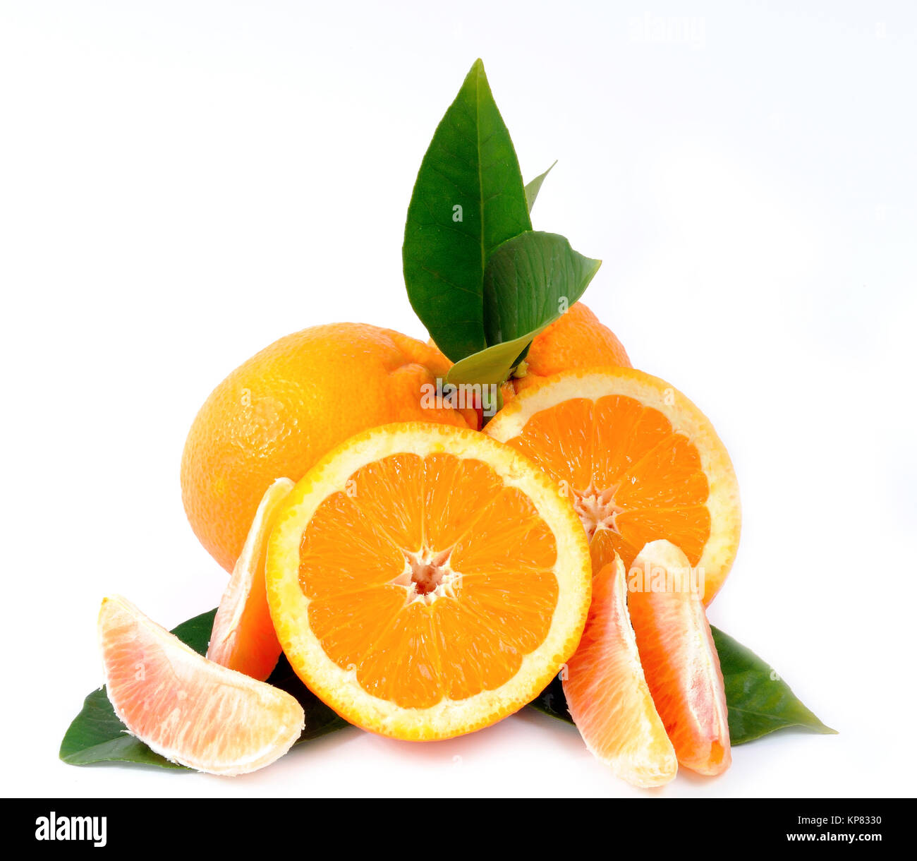 Oranges harvested in an organic cultivation, photographed on white ...
