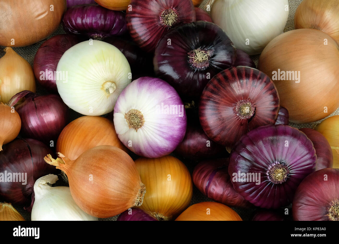 Onions of different varieties and colors Stock Photo - Alamy