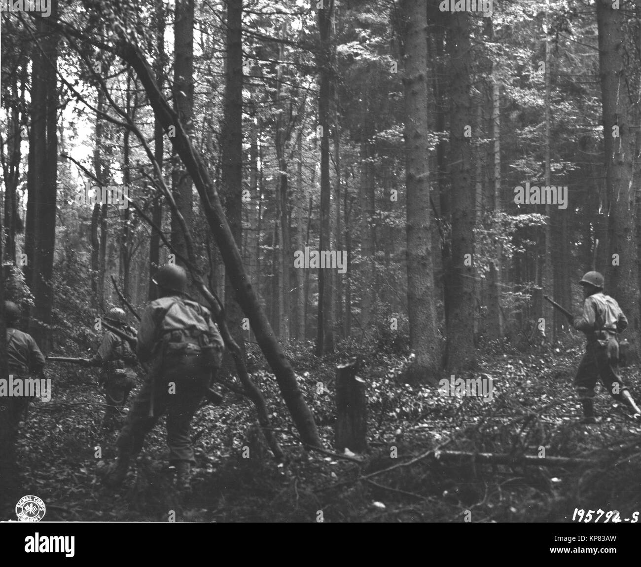 With rifles held for quick action, Infantrymen push through the Hurtgen ...