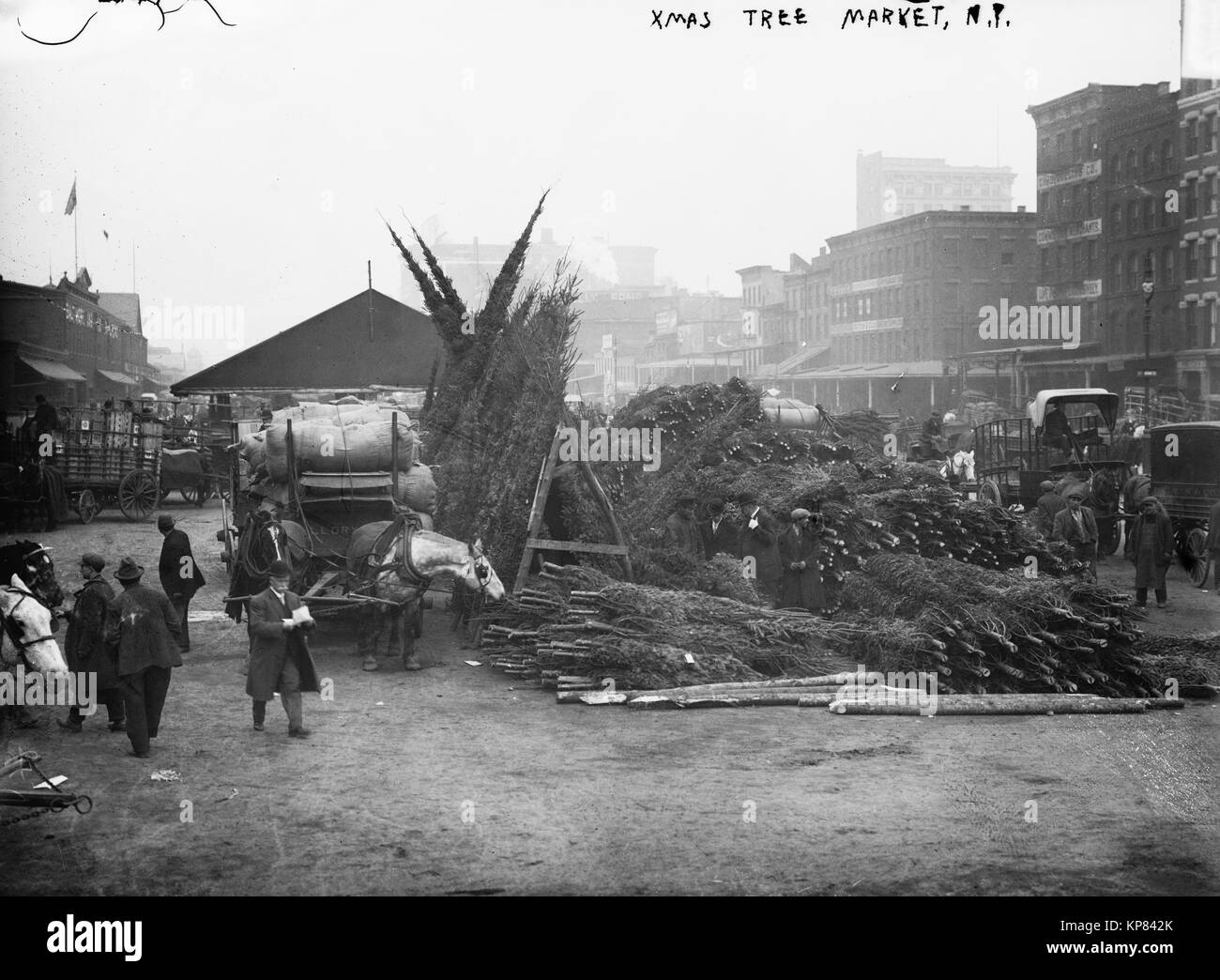 Early 1900s Christmas tree market in major american city in New York ...