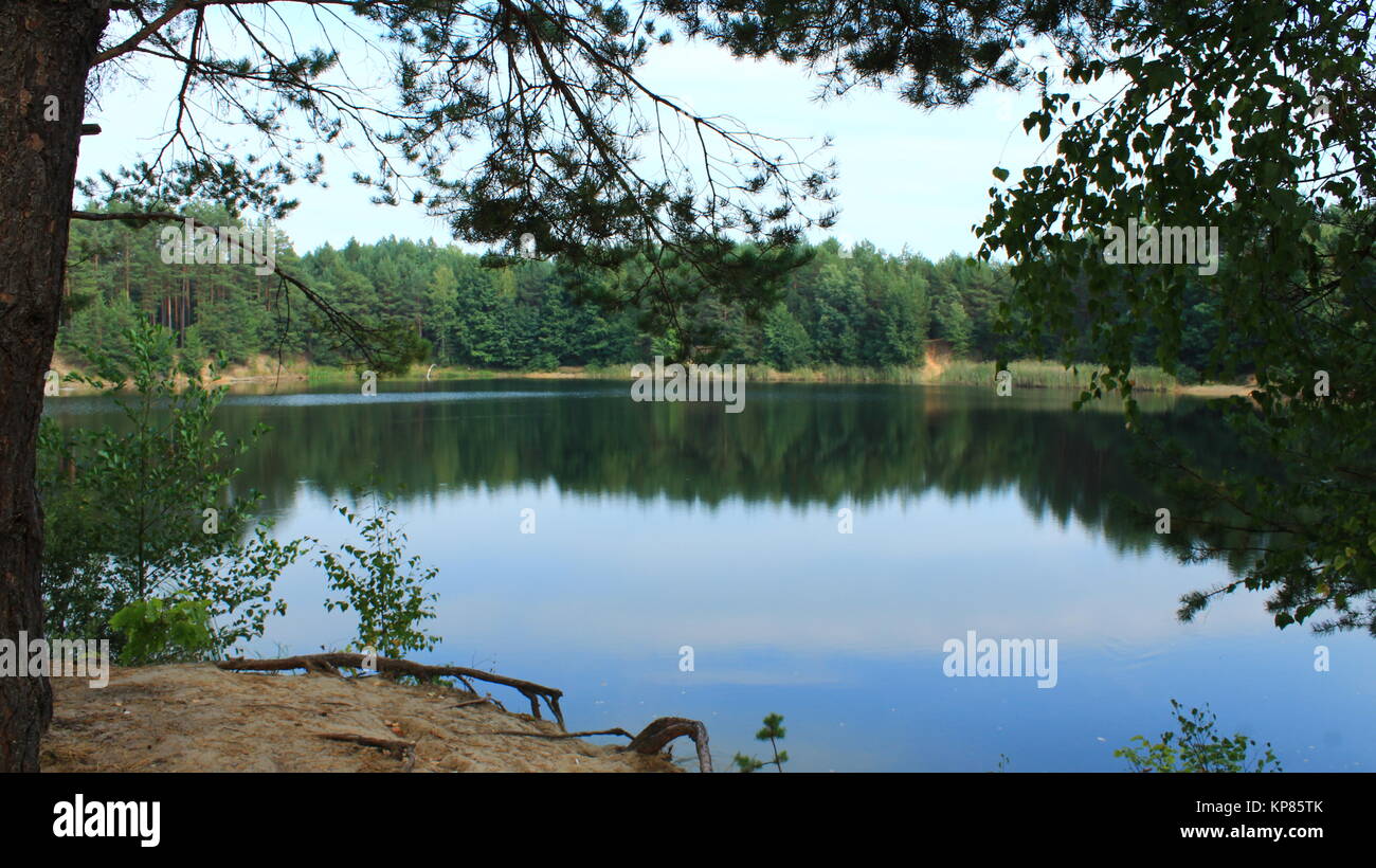 lake in the forest Stock Photo - Alamy