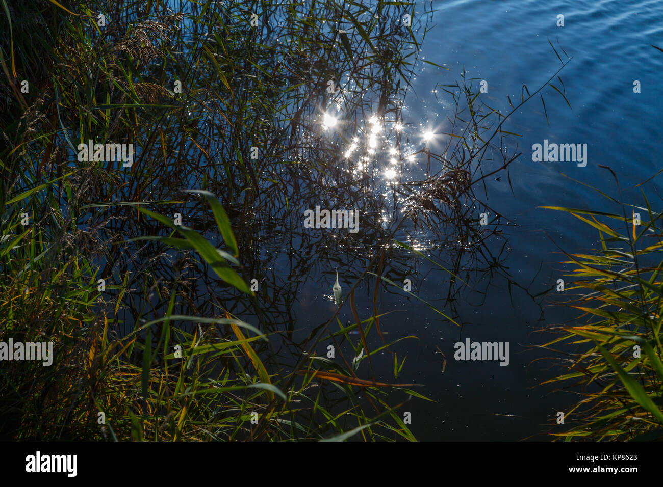 light spirits in the lake Stock Photo - Alamy