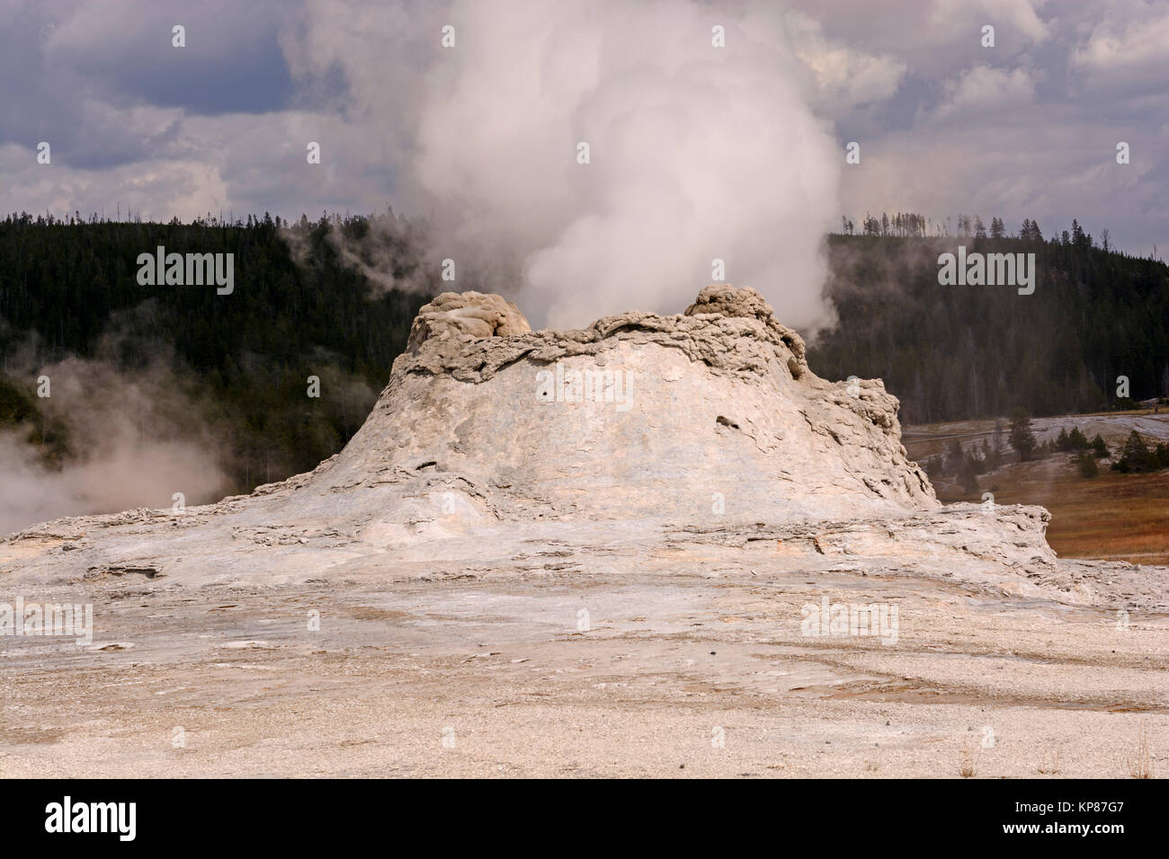 Steam Eruption in a Geyser Stock Photo - Alamy