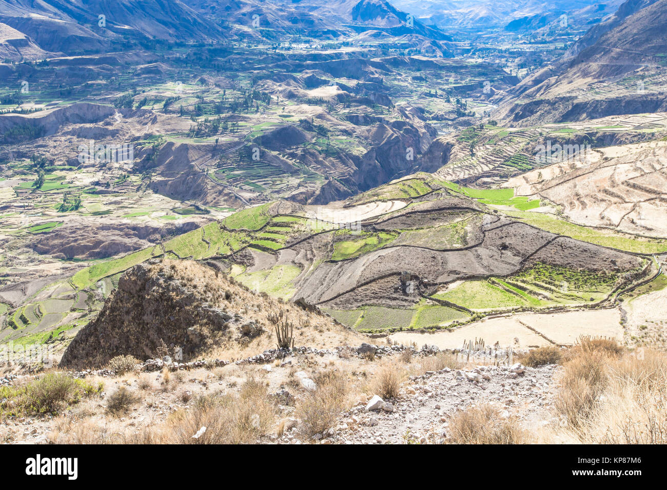 Vegetation mapping hi-res stock photography and images - Alamy