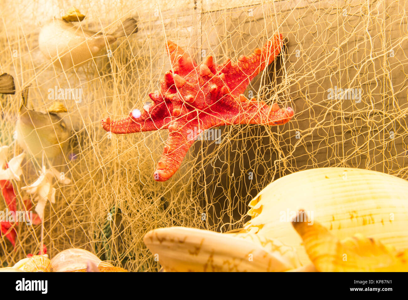 Beautiful sea composition Stock Photo - Alamy