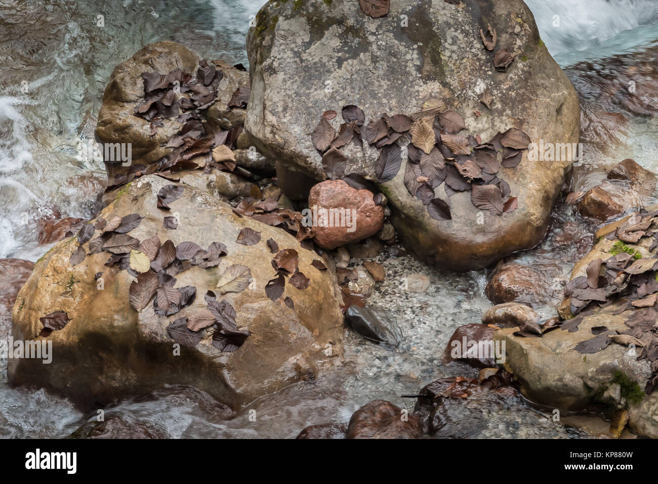 sweetheart stone in a stream Stock Photo - Alamy