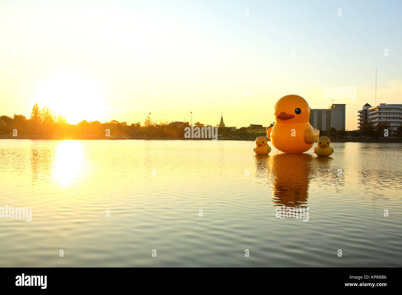 Rubber ducks ocean hi-res stock photography and images - Alamy