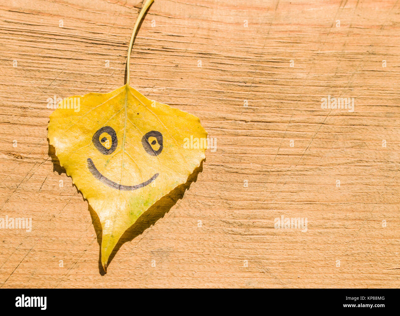 Yellow leaf with a funny face on an old wooden background with cracks ...