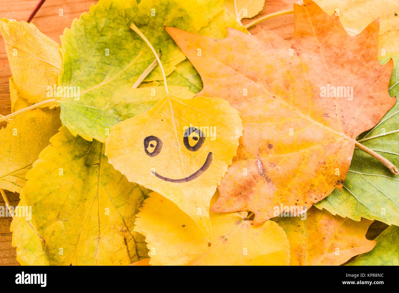 Yellow leaf with a picture of a happy face Stock Photo - Alamy