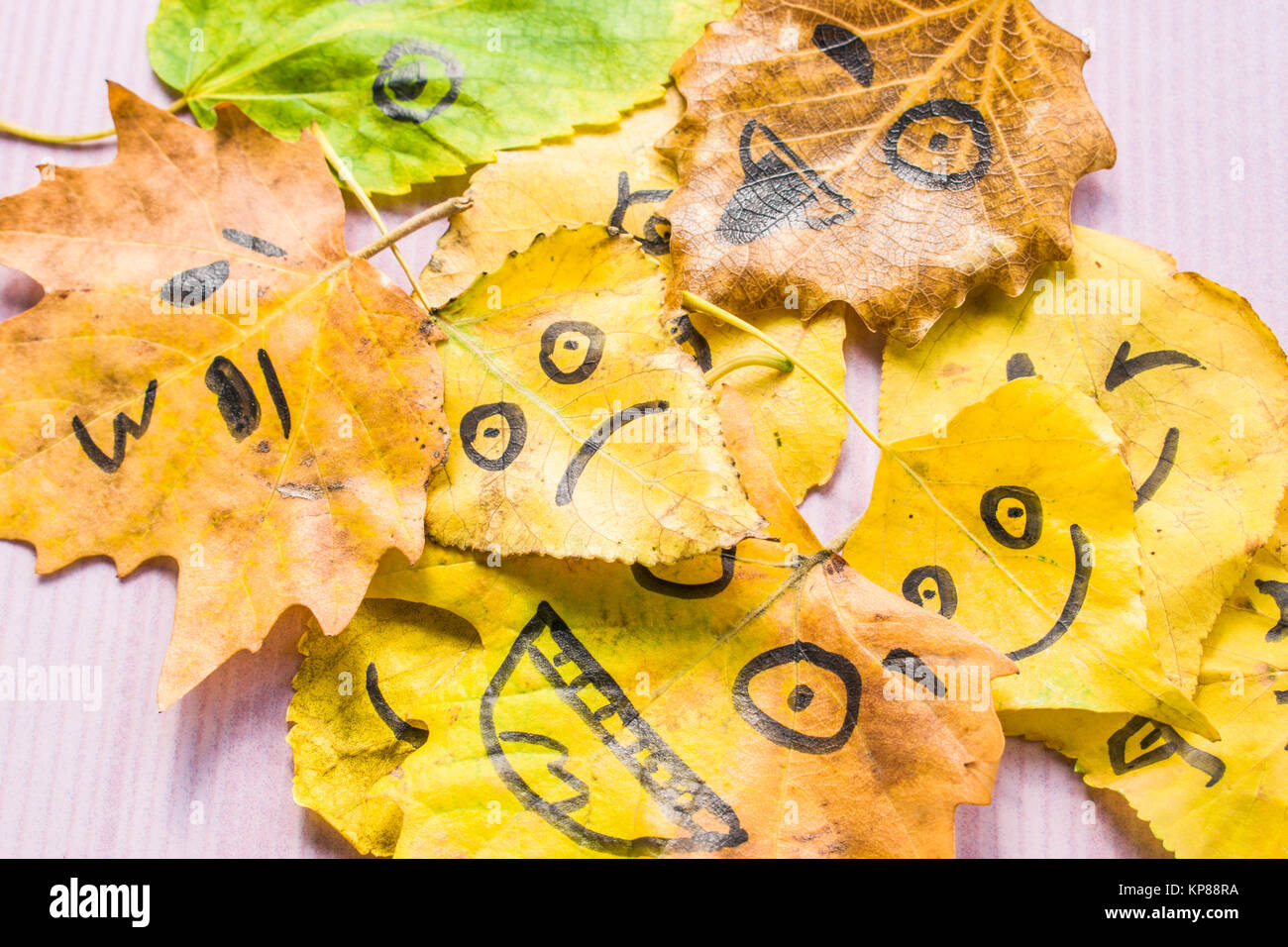 A lot of smiley leaves lie with different facial expressions Stock ...