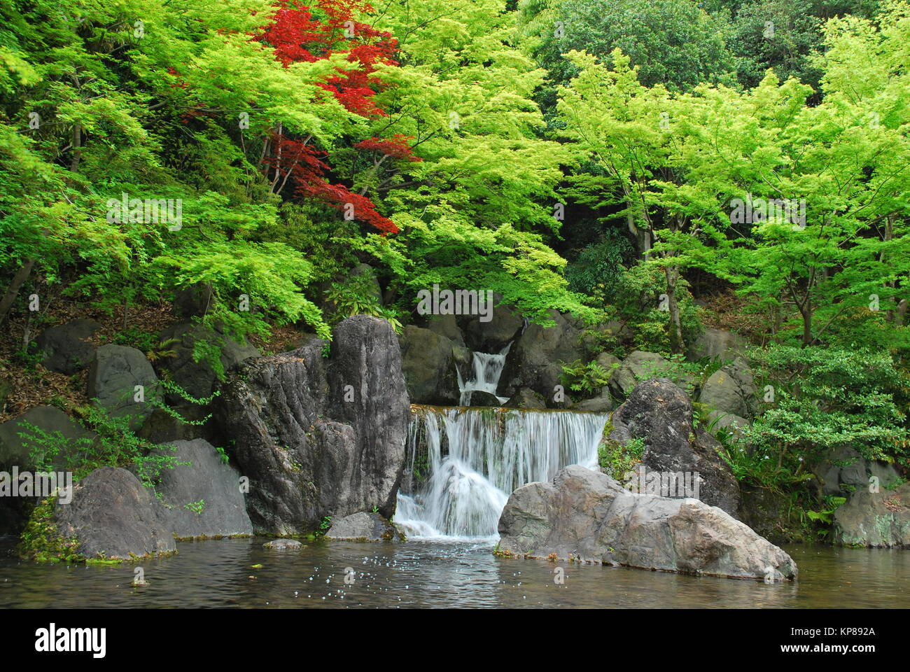 Low shot of majestic waterfall in a Japanese zen garden. Suitable for ...