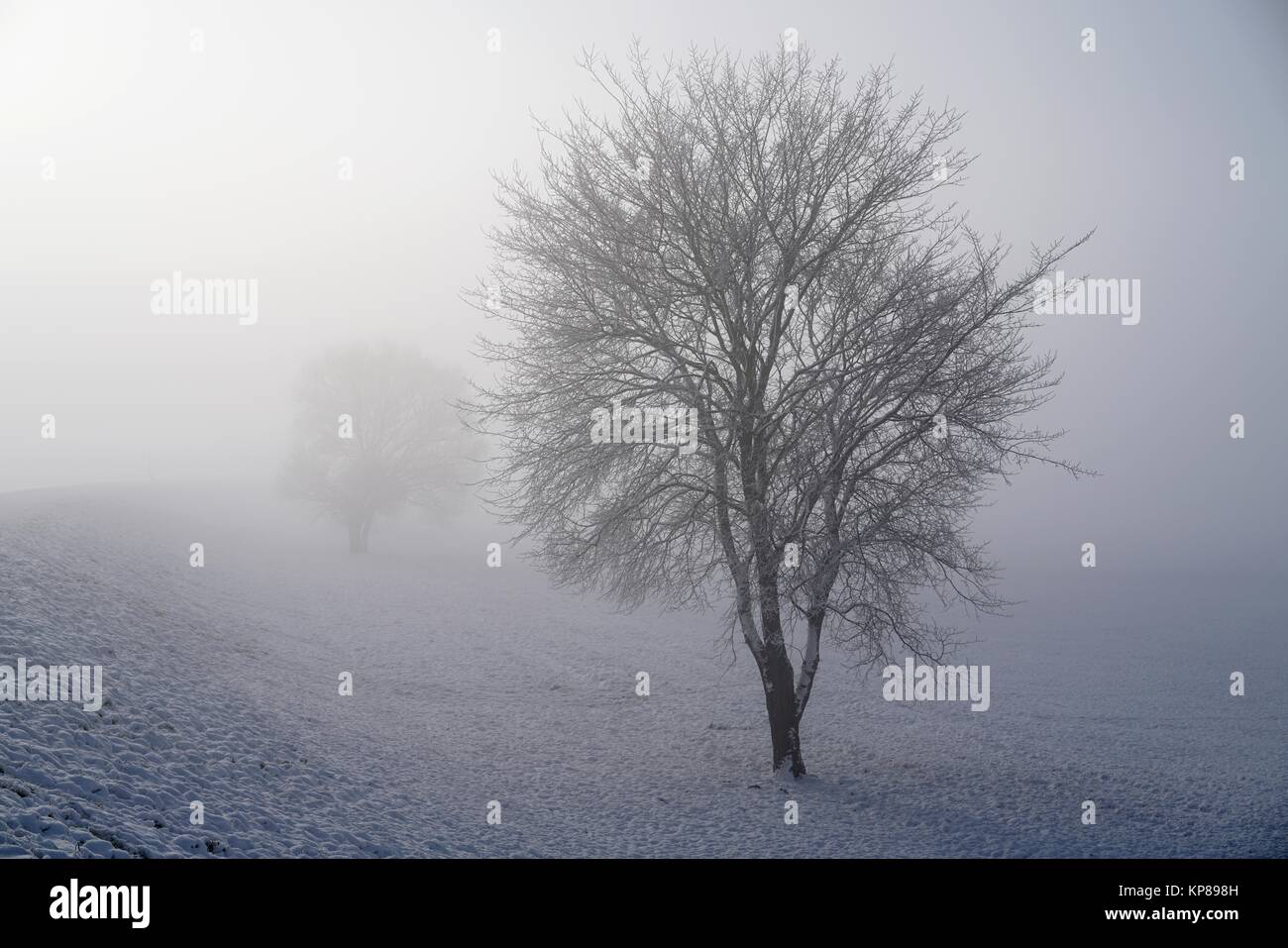Dark foggy snow morning hi-res stock photography and images - Alamy