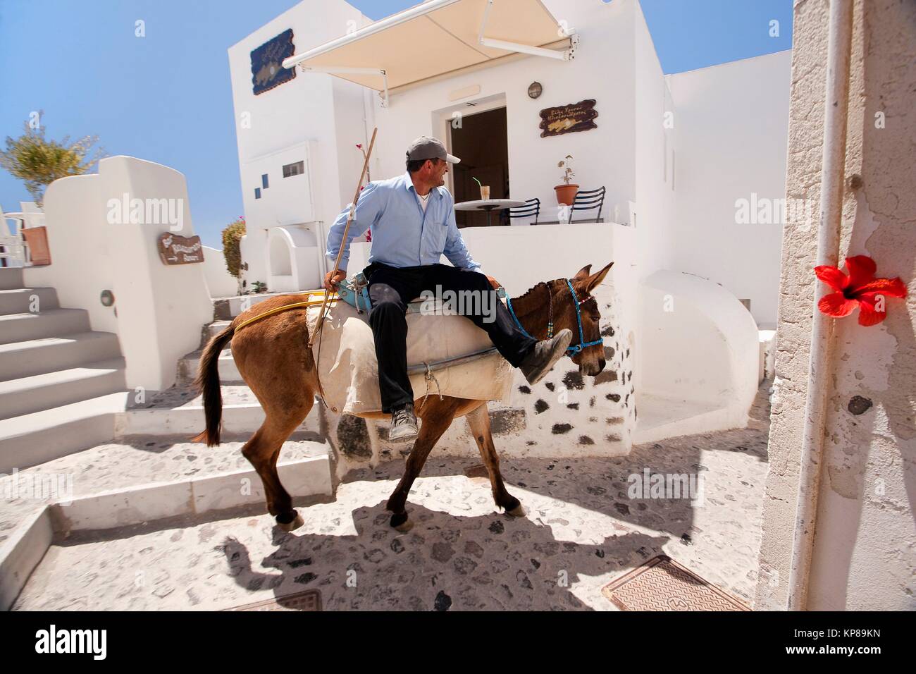 Man riding donkey greece hi-res stock photography and images - Alamy