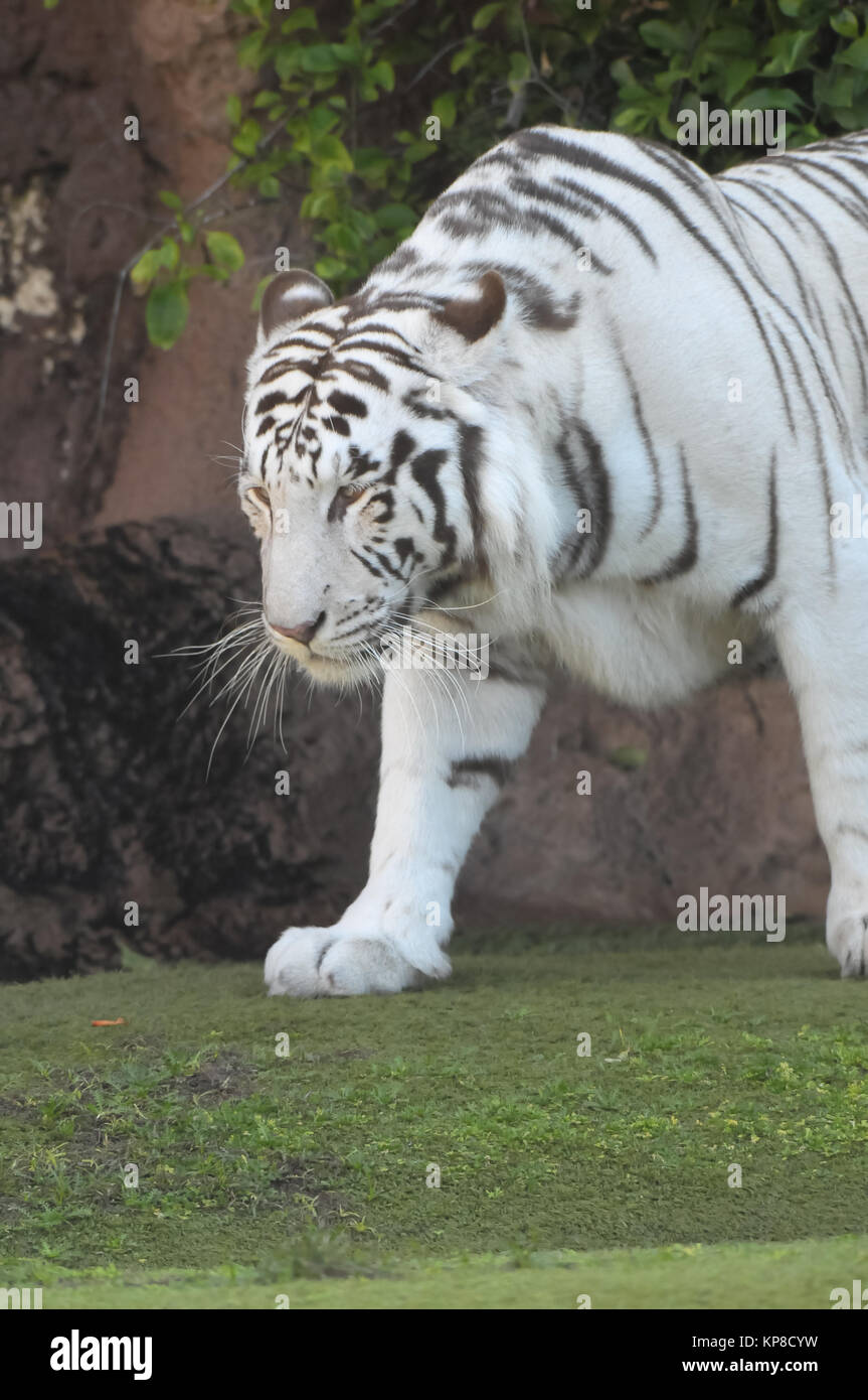 B139 hi-res stock photography and images - Alamy