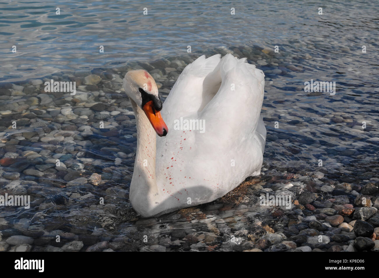 845c hi-res stock photography and images - Alamy