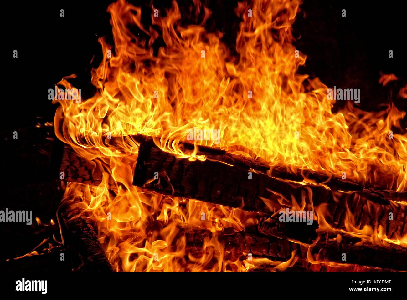 large campfire at night during camping Stock Photo - Alamy