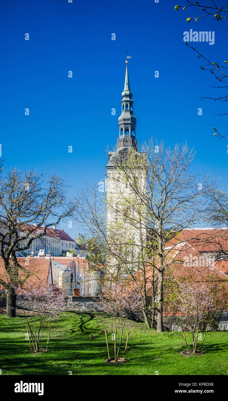 Tallinn seasons hi-res stock photography and images - Alamy