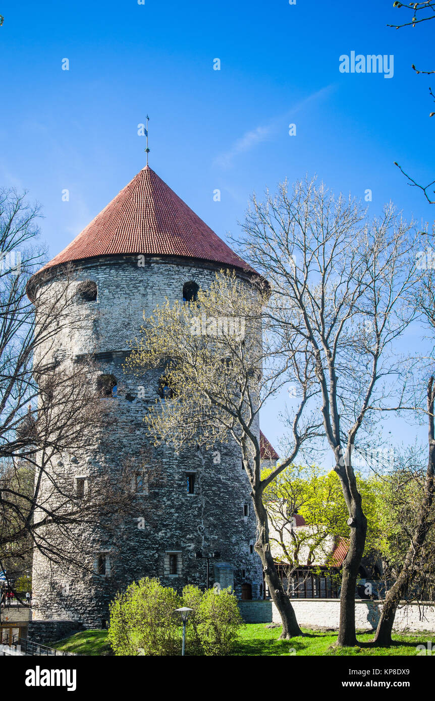 View of the Old Tallinn beautiful spring day Stock Photo - Alamy