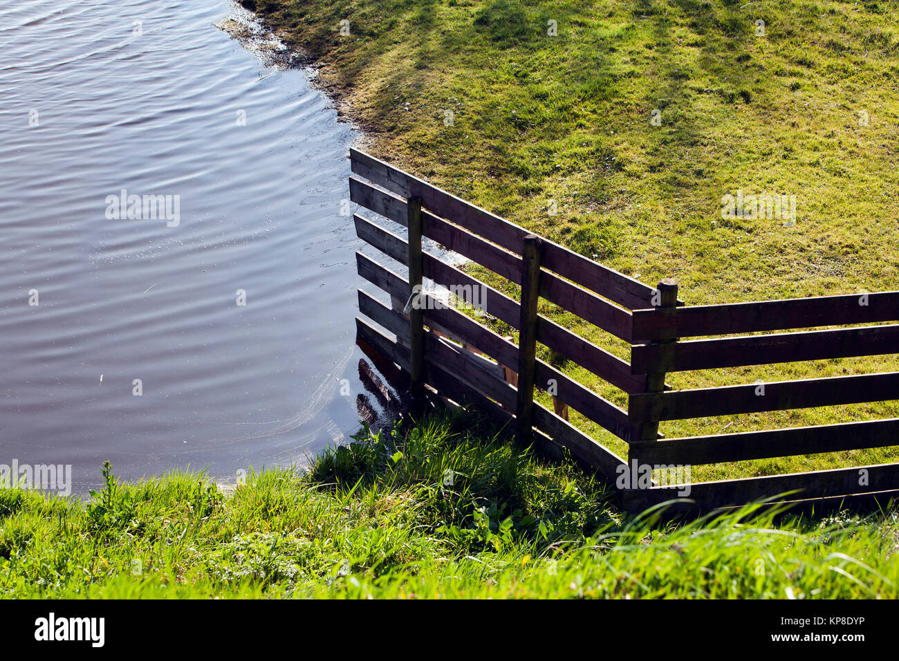 Plain ground divided hi-res stock photography and images - Alamy