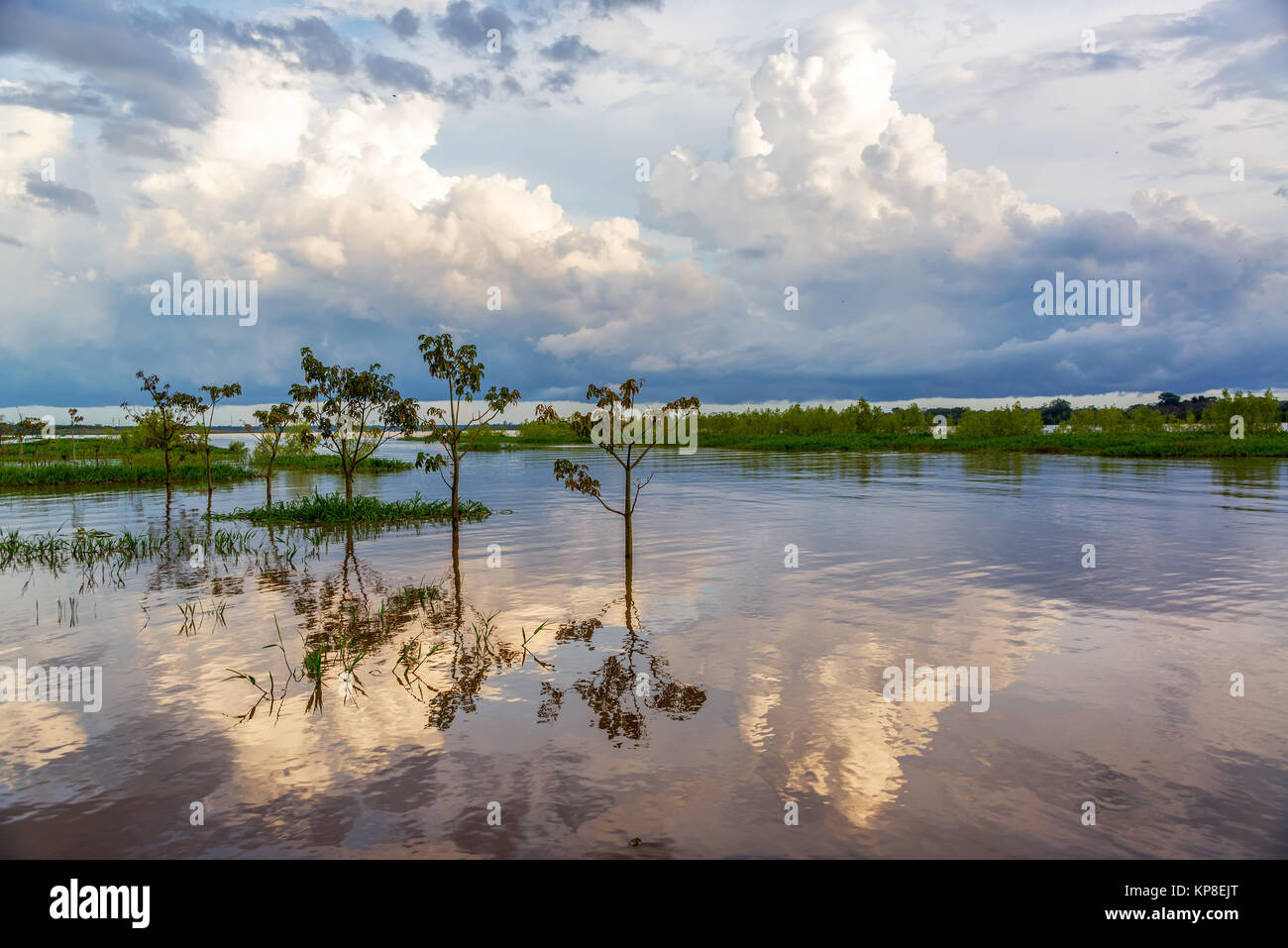 Amazon River Reflection Stock Photo - Alamy