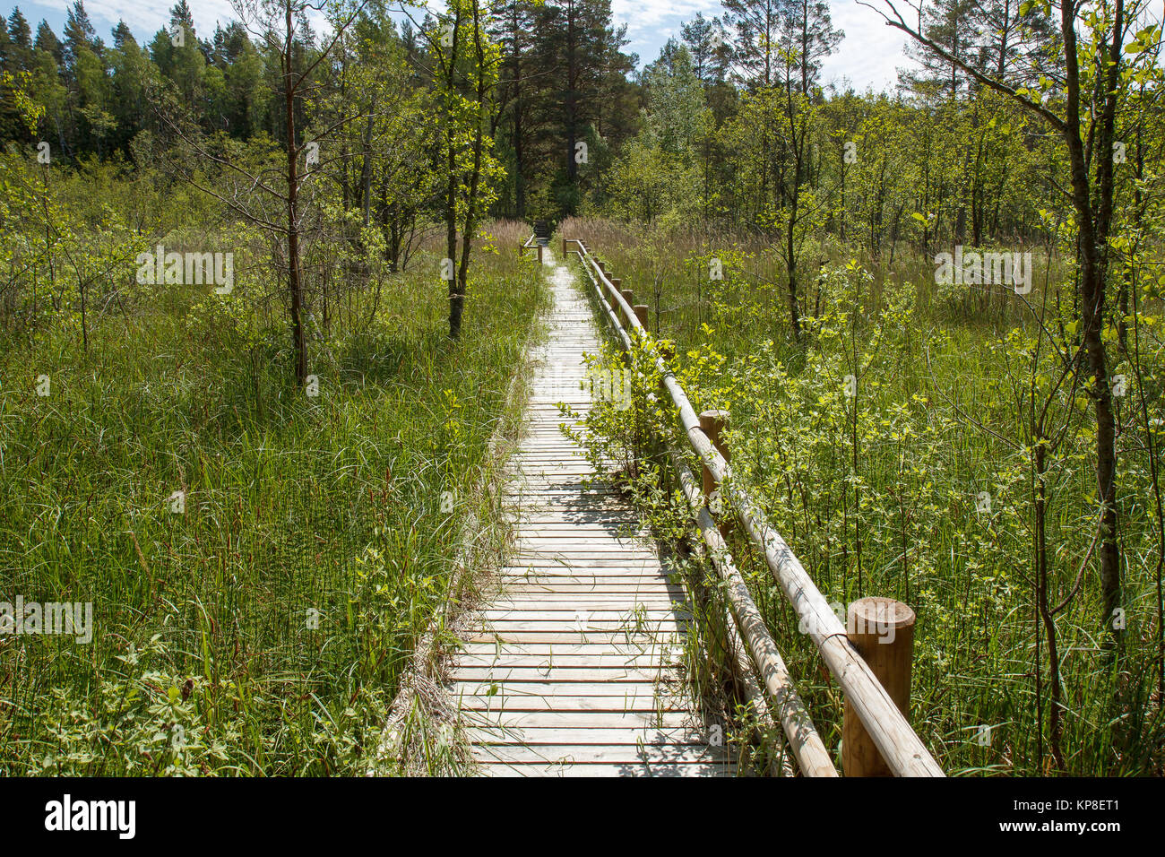Wooden plank pathway Stock Photo - Alamy