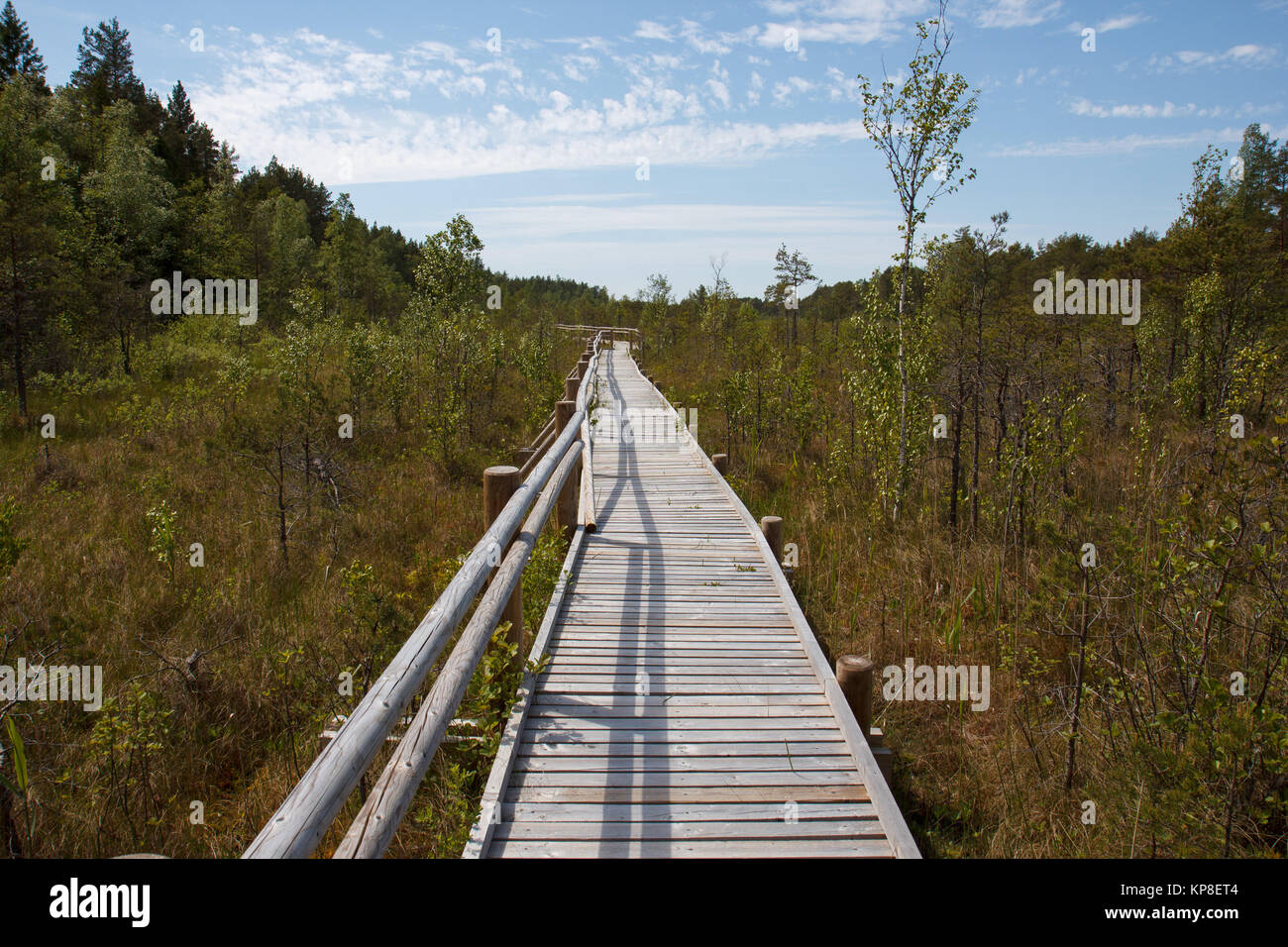 Wooden plank path Stock Photo - Alamy