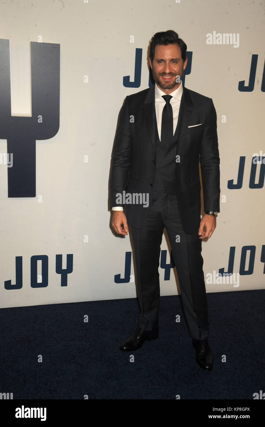 NEW YORK, NY - DECEMBER 13: Edgar Ramirez attends the premiere of 'Joy ...