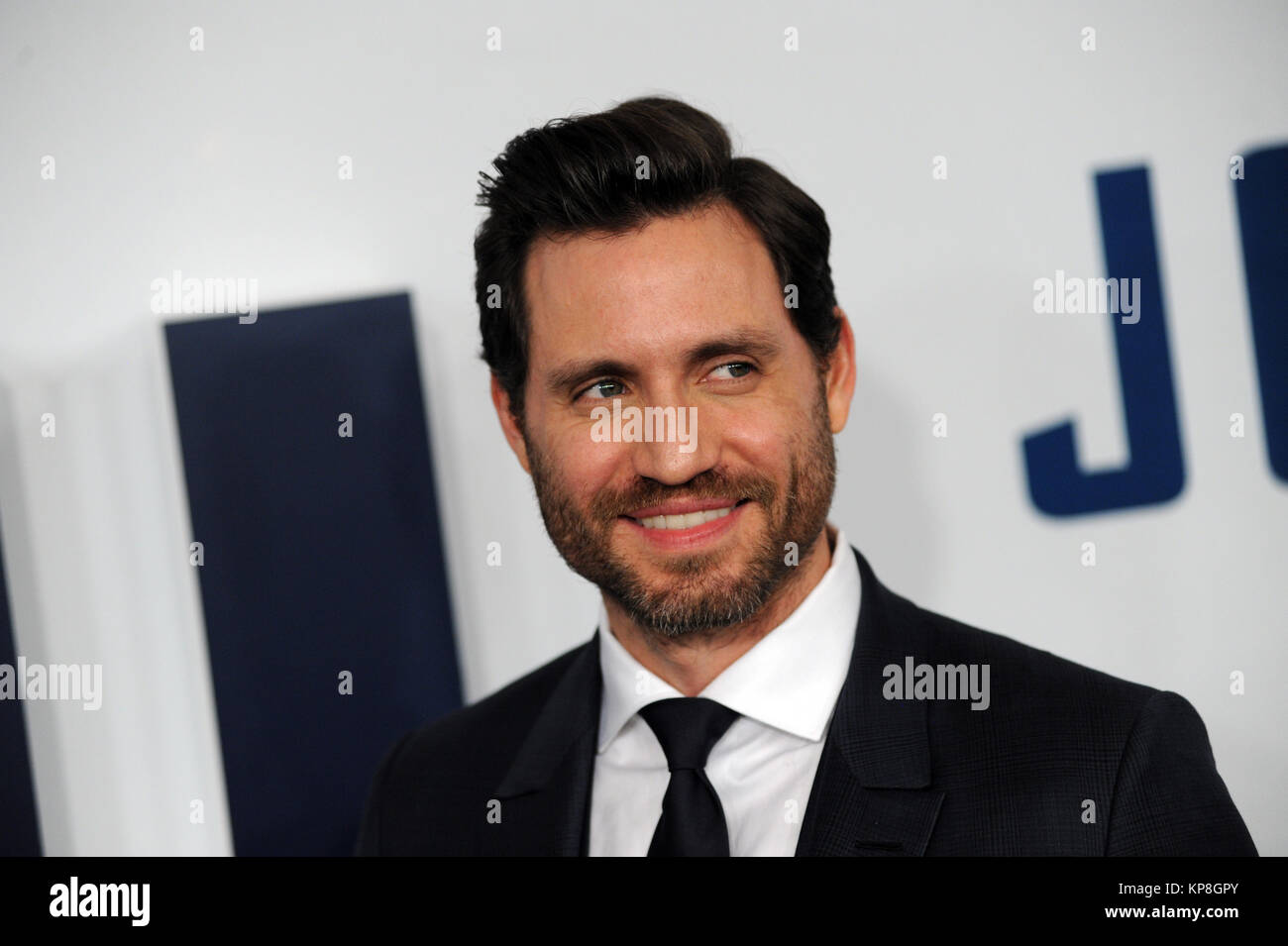 NEW YORK, NY - DECEMBER 13: Edgar Ramirez attends the premiere of 'Joy ...