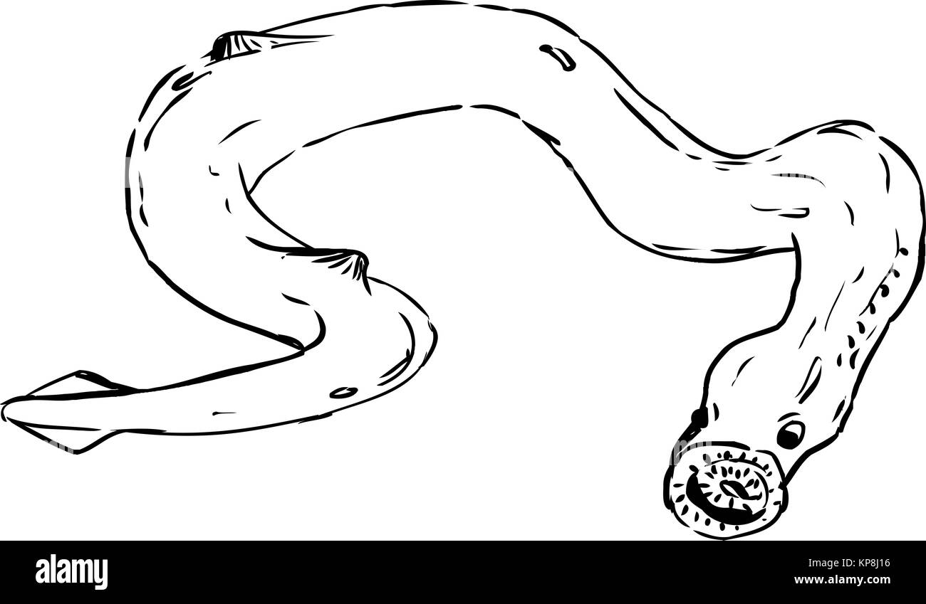 Single cartoon lamprey eel fish hi-res stock photography and images - Alamy