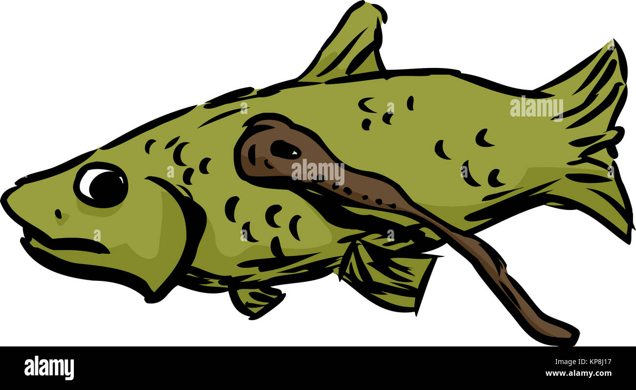 Lamprey eel hi-res stock photography and images - Alamy