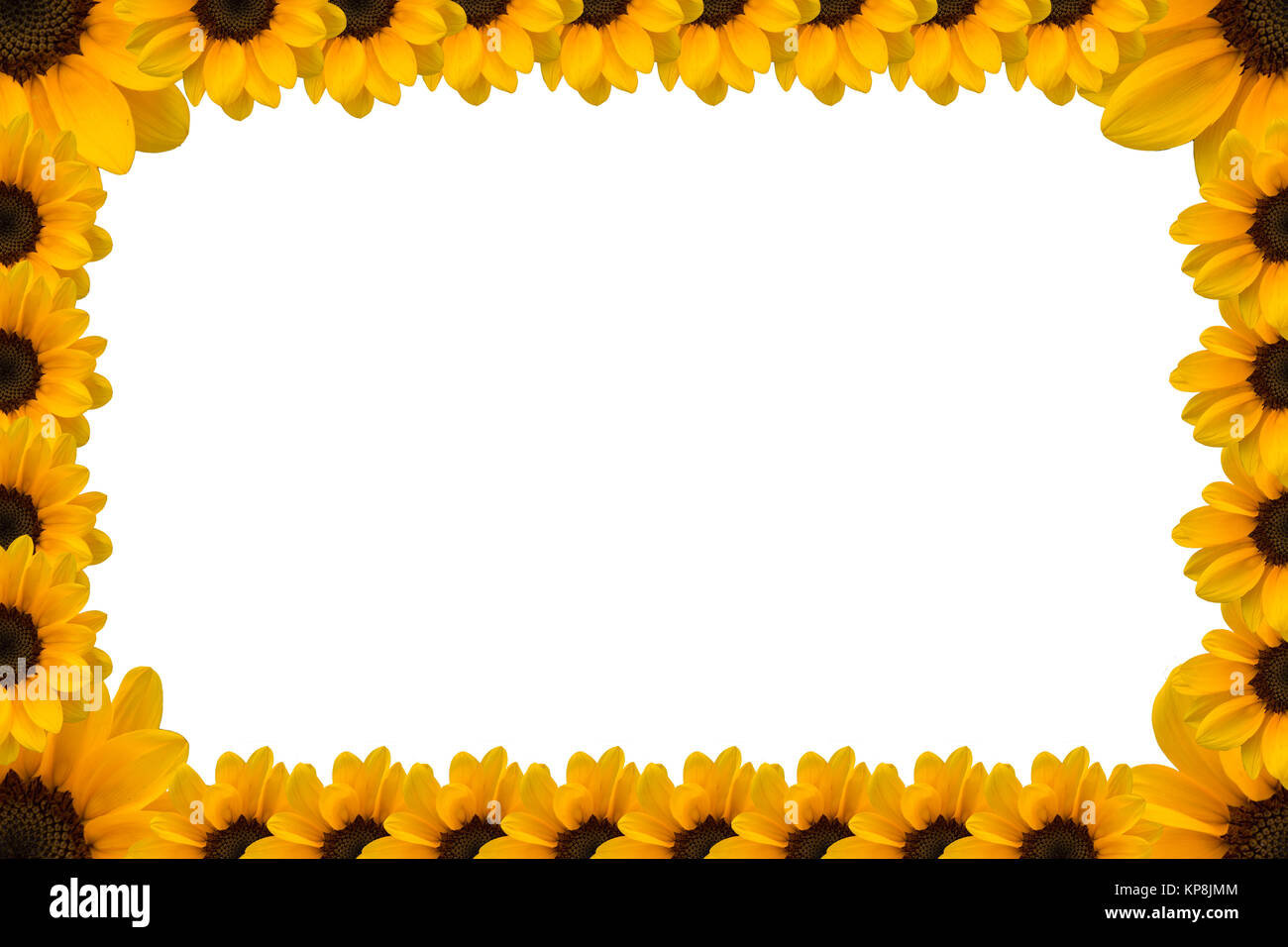 Sunflower Powerpoint Template