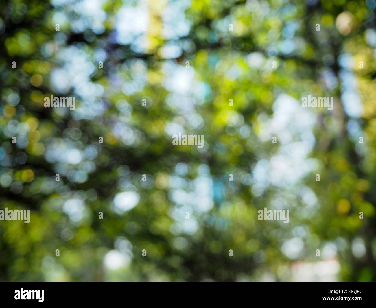 Abstract nature hi-res stock photography and images - Alamy