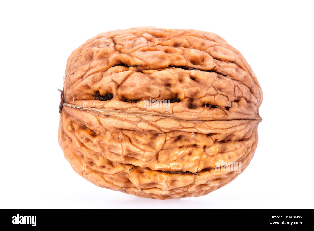 single walnut isolated on white background Stock Photo - Alamy
