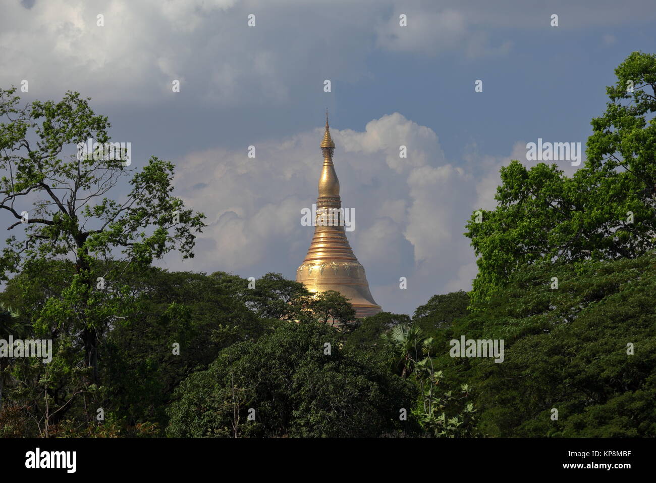 The Shwedagon Pagoda of Rangoon in Myanmar Stock Photo - Alamy