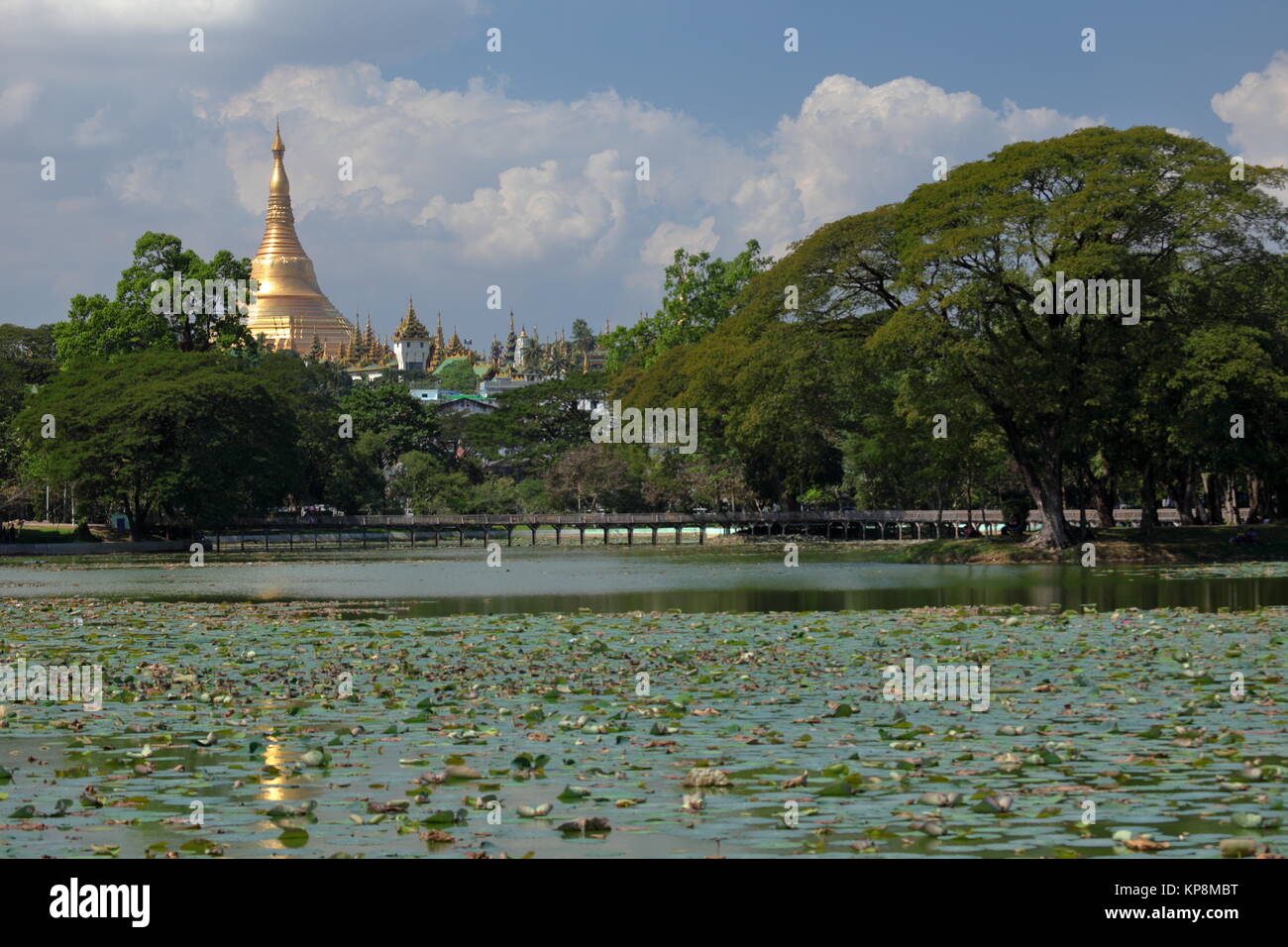 The Shwedagon Pagoda of Rangoon in Myanmar Stock Photo - Alamy