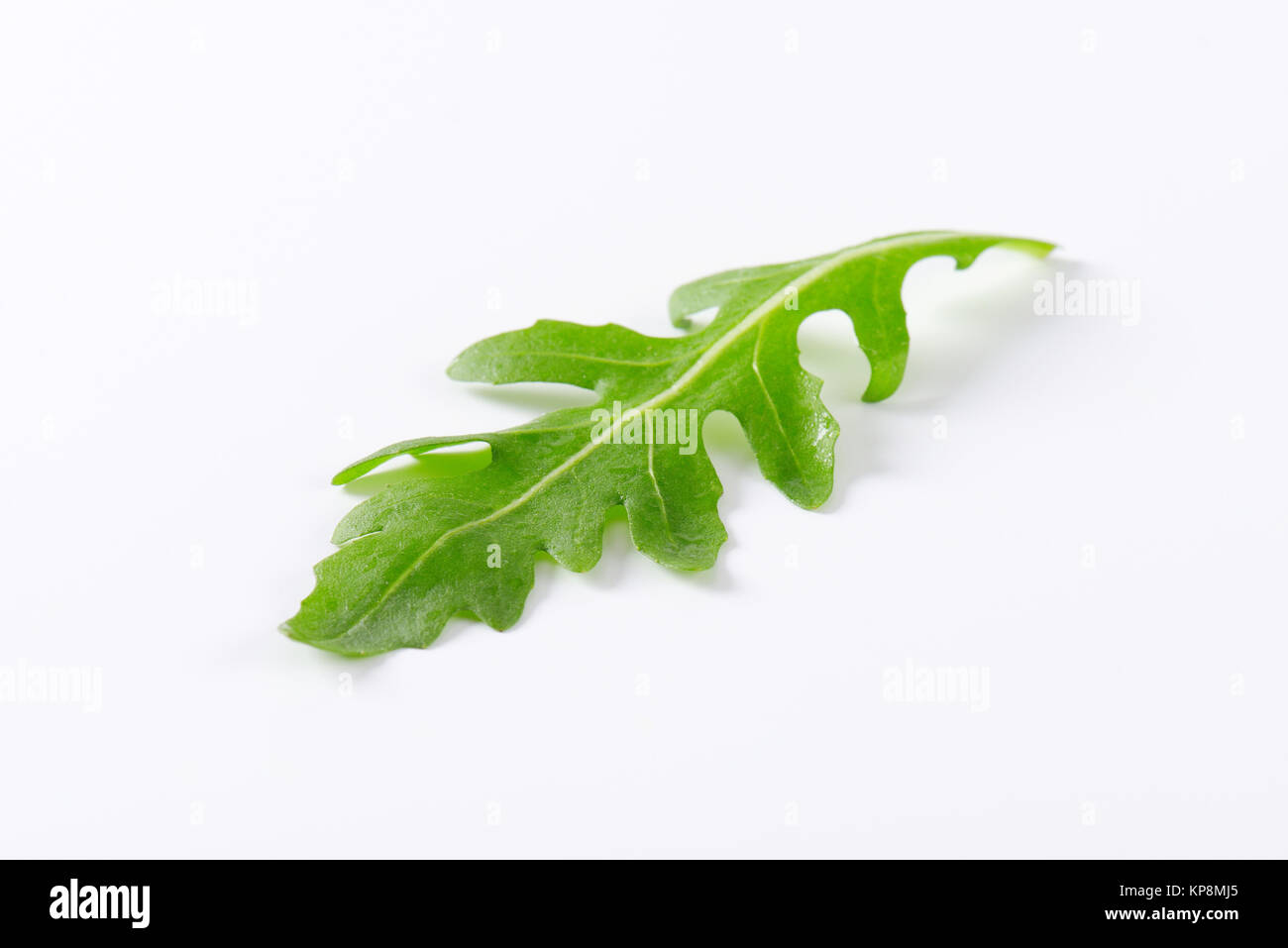 fresh rocket leaf Stock Photo - Alamy