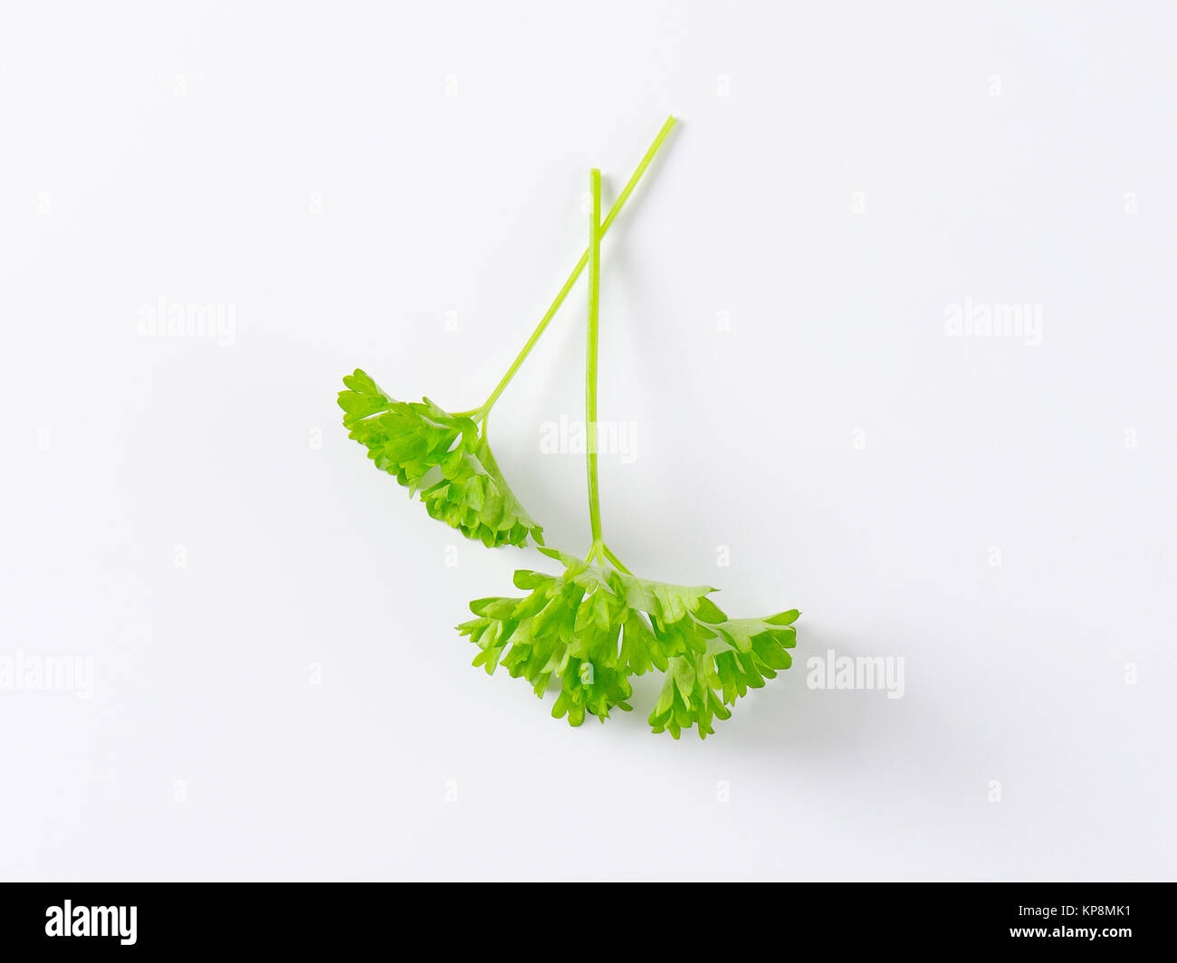 fresh parsley leaves Stock Photo - Alamy