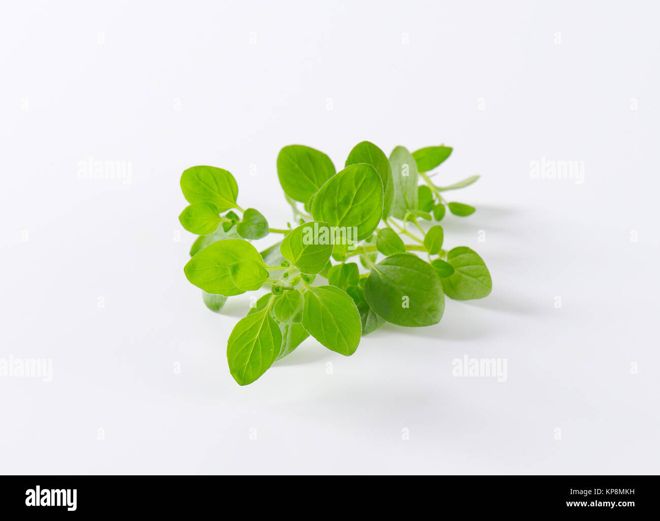 fresh oregano sprigs Stock Photo - Alamy