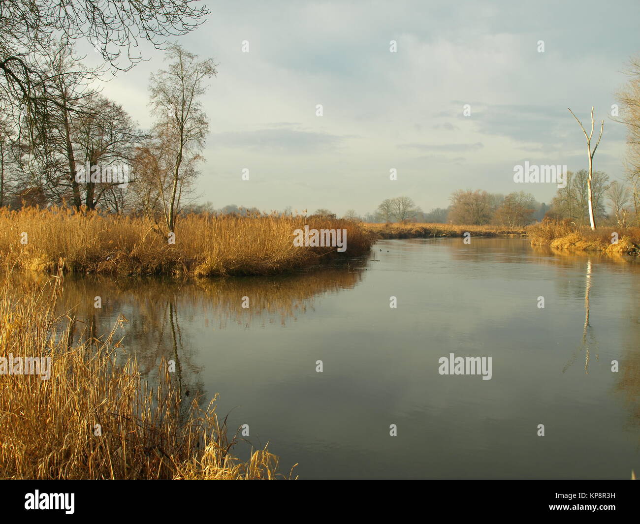 Pale wintry sun hi-res stock photography and images - Alamy