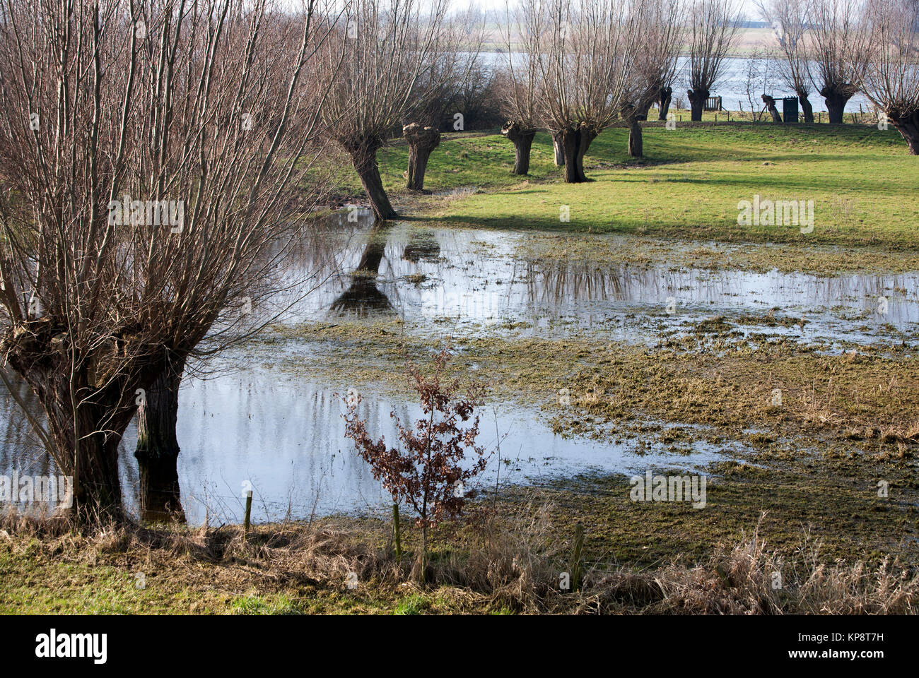 Floodplains of the river Stock Photo - Alamy