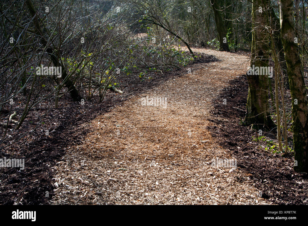 Wood Chip Path High Resolution Stock Photography and Images - Alamy
