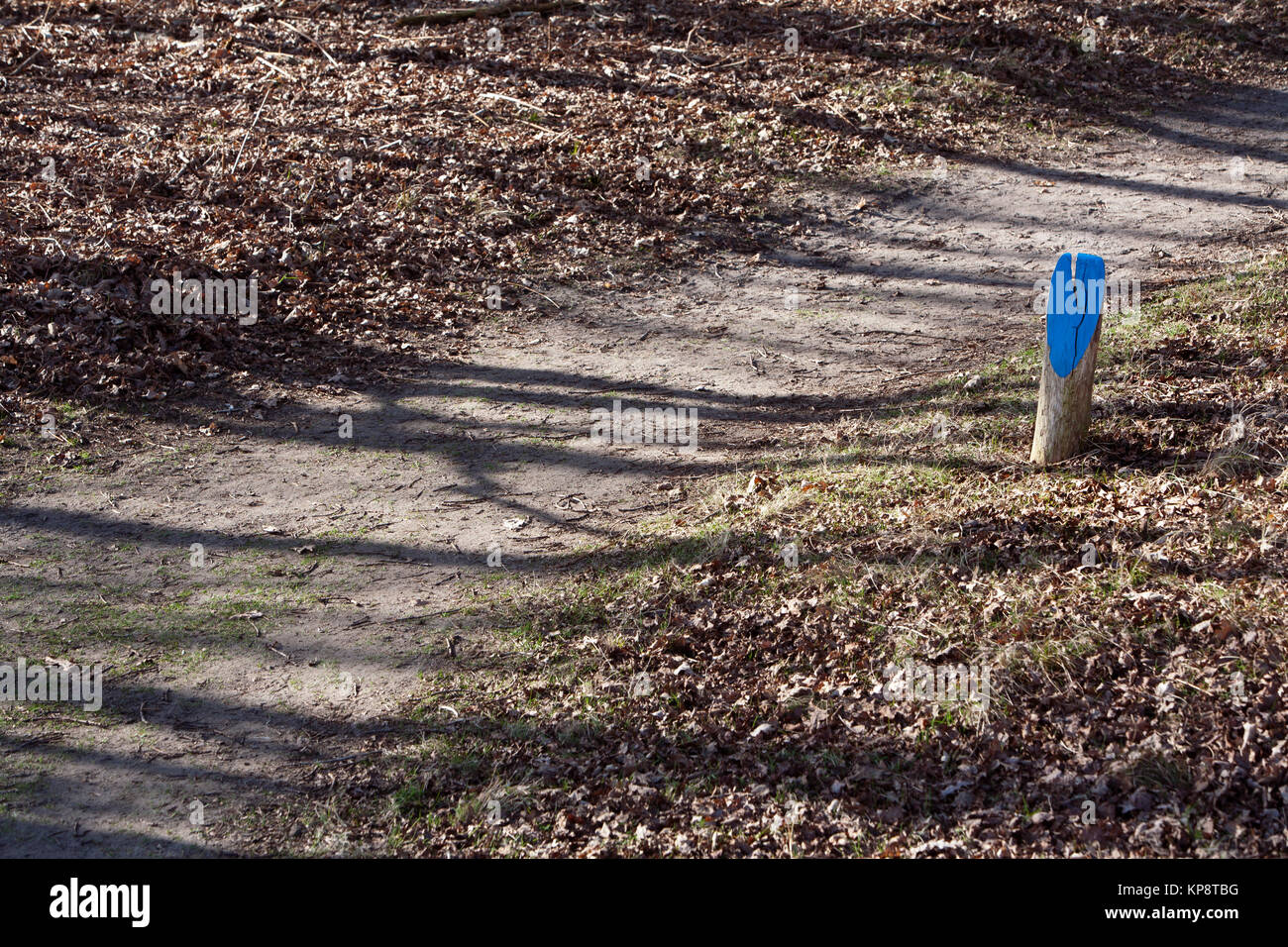 Blue painted pole Stock Photo - Alamy