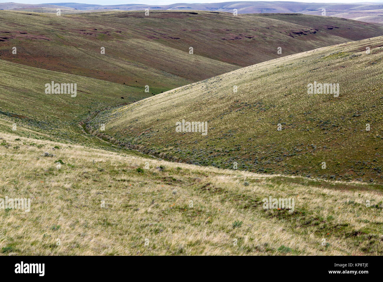 Central Oregon View Stock Photo - Alamy