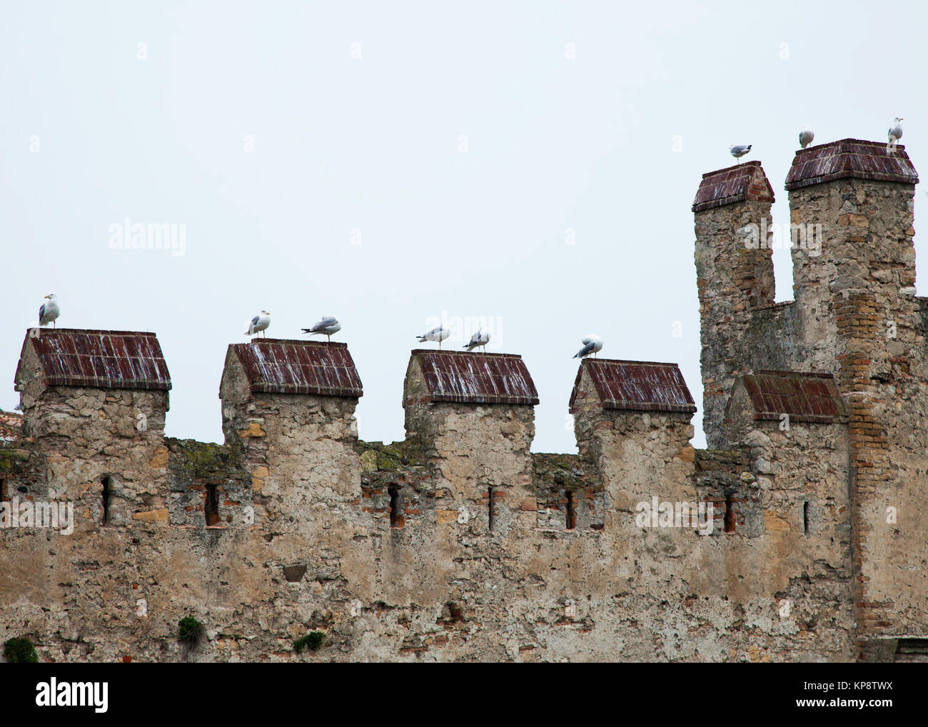 Wall of castle Stock Photo - Alamy