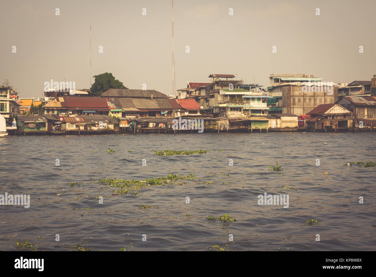 Wooden slums on stilts on the riverside of Chao Praya River in Bangkok ...