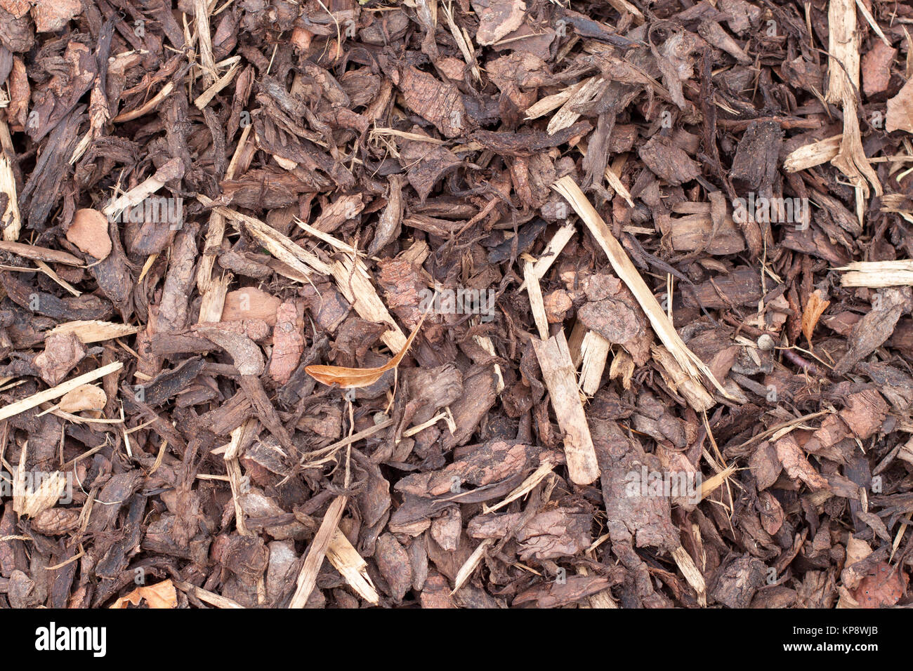 Rindensta cke hi-res stock photography and images - Alamy