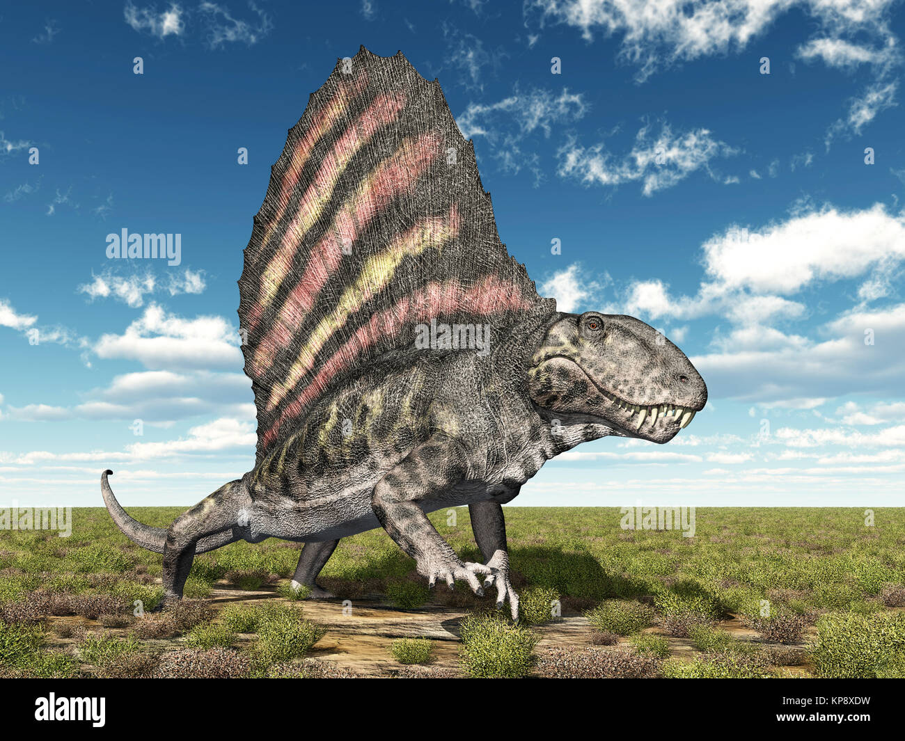 Dimetrodon dinosaur hi-res stock photography and images - Alamy