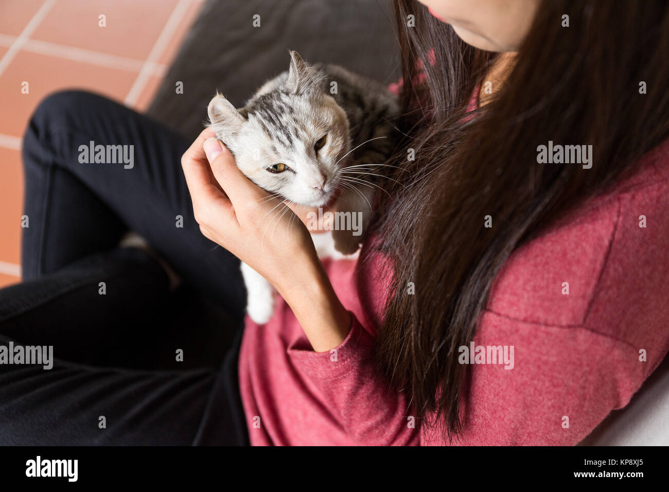 Asian Woman play with her kitten Stock Photo - Alamy
