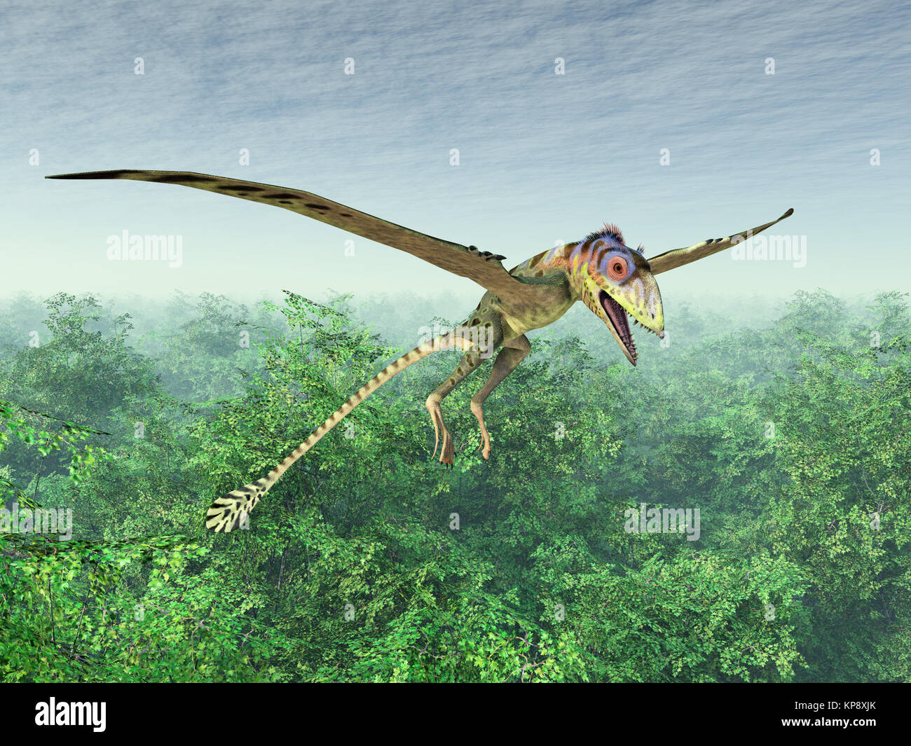 flying peacock peteinosaurus Stock Photo - Alamy